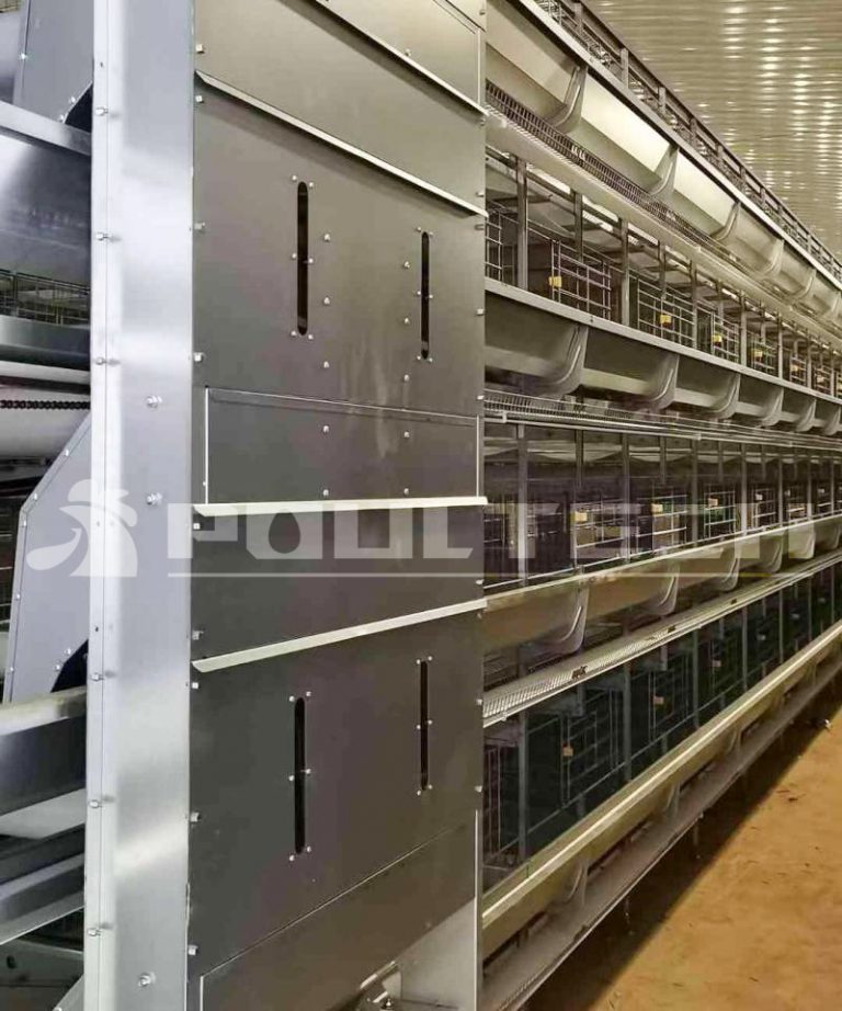 Layer Project in Yaounde City Cameroon-Henan Poul Tech Machinery Co.,Ltd.
